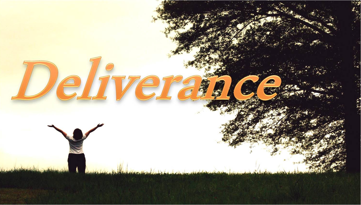 How can we get Deliverance? – Living The Gospel Life